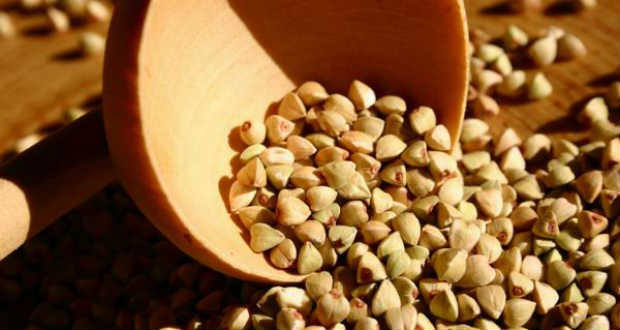 Mire jó a hajdina (grecska)? - Kárpátalja.ma