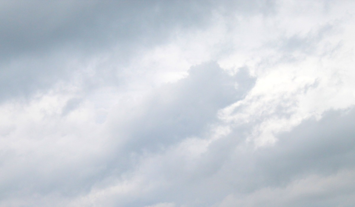 Gyulai Márta: Mi kell hát?